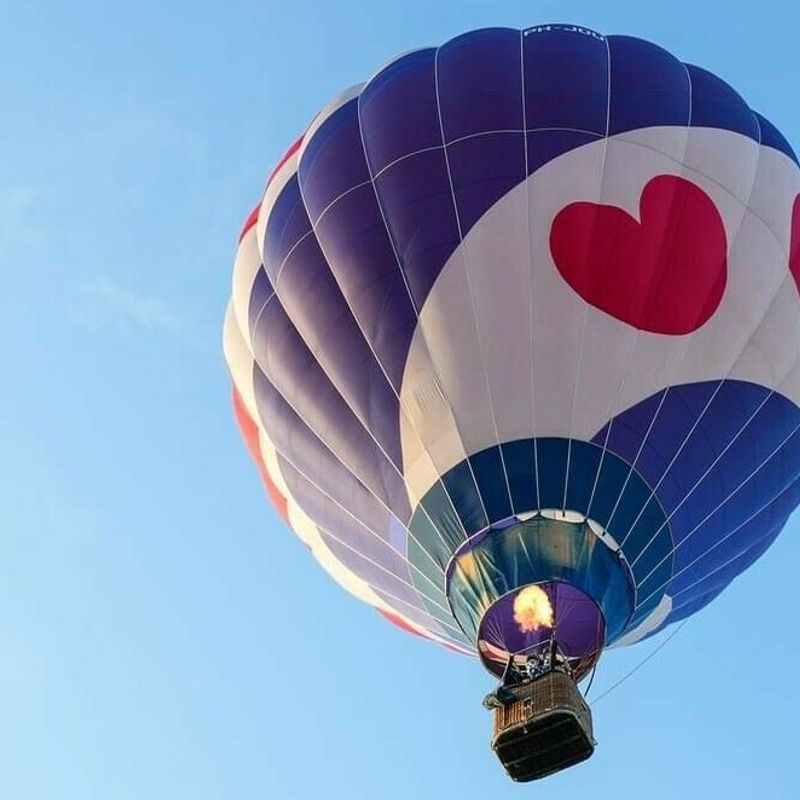 Fryslân-ballon mag de lucht niet meer in: het verhaal van deze ...