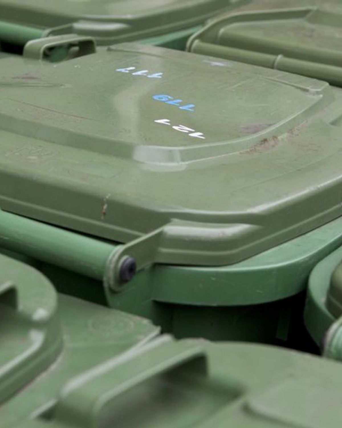 Groene container wordt in de zomer minder vaak geleegd - Omroep Gelderland