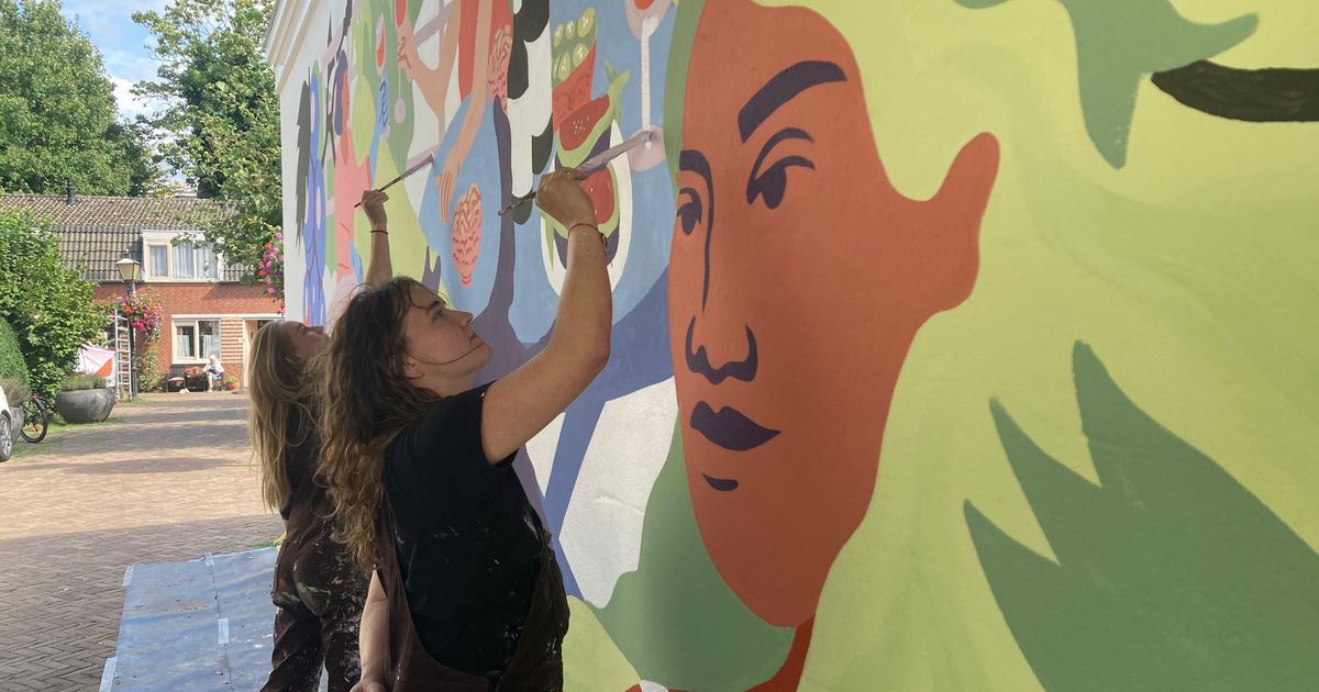 Verborgen hofje in Utrecht krijgt kleurrijke muurschildering - RTV Utrecht