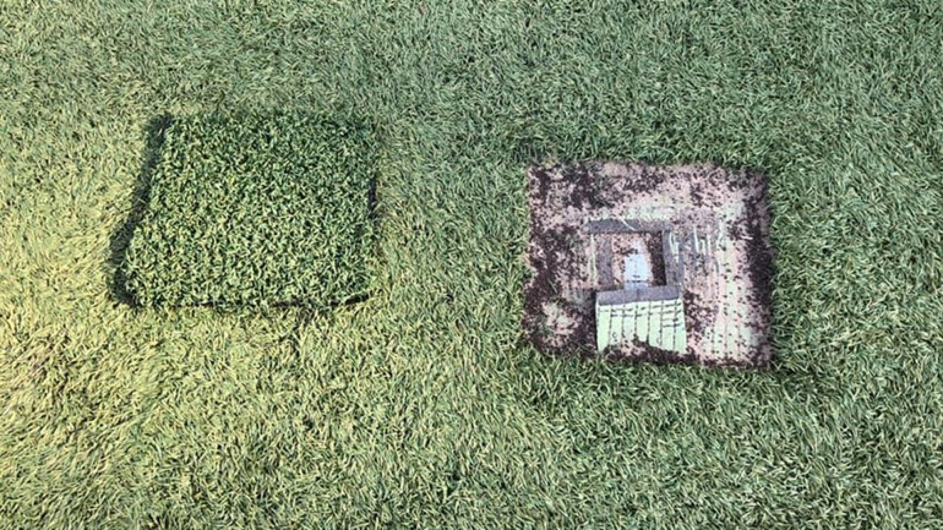 Wie heeft het kunstgrasveld van voetbalvereniging Hvv RAS kapotgesneden ...