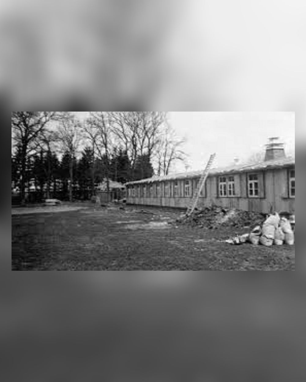 Het verborgen verhaal van het werkkamp in Hemrik - Omrop Fryslân