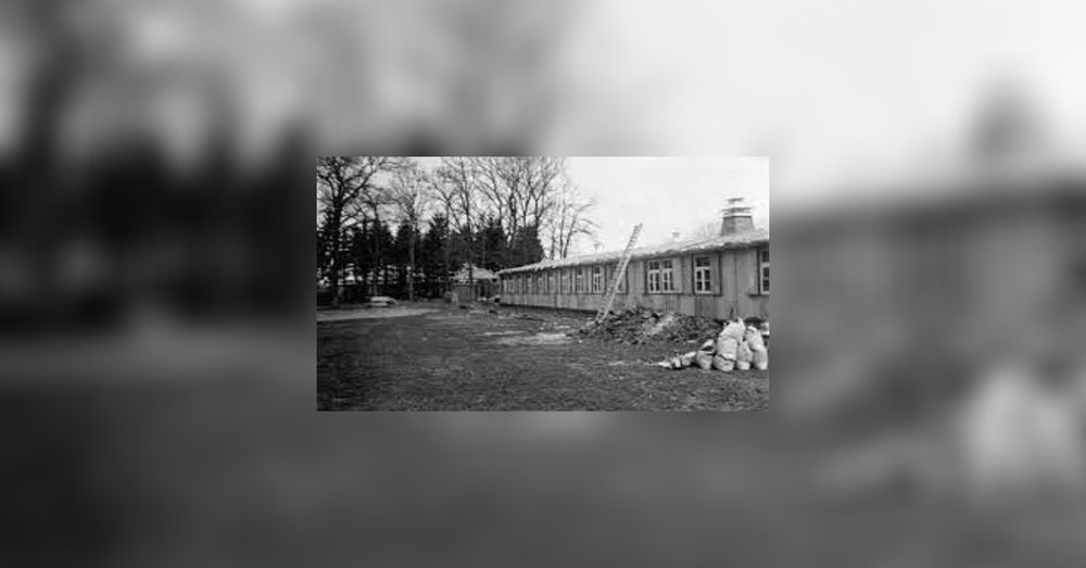 Het verborgen verhaal van het werkkamp in Hemrik - Omrop Fryslân