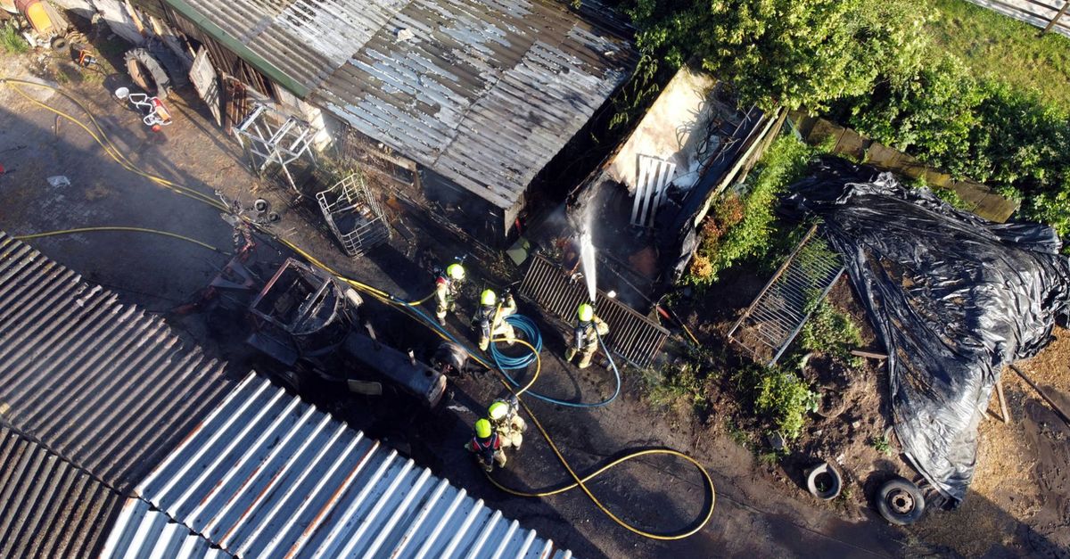 Bosbrand • tractor in brand - Omroep Gelderland