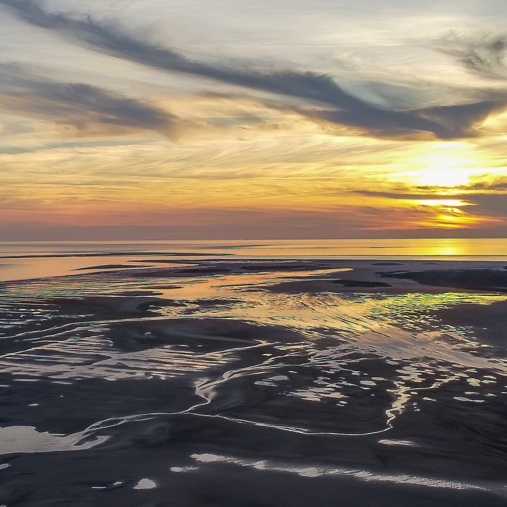 UNESCO-status Waddenzee nog altijd onzeker: Nederland krijgt nieuwe ...