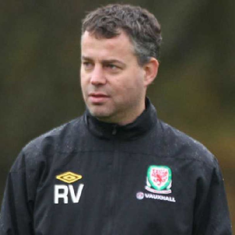 Raymond Verheijen neemt ontslag bij Wales - Rijnmond