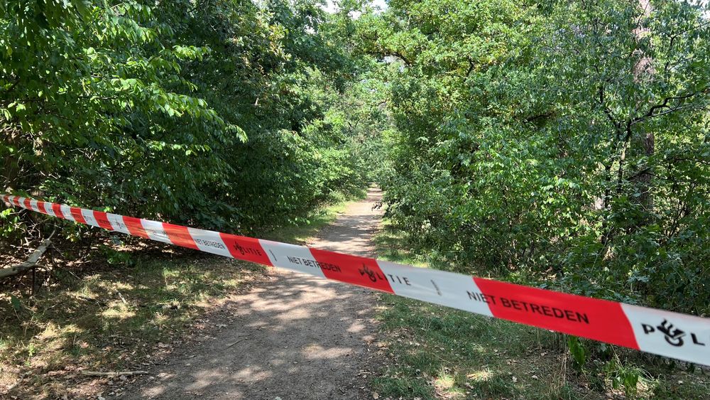 Tientallen tips over zedenmisdrijf Zeist, verdachte nog voortvluchtig - RTV Utrecht