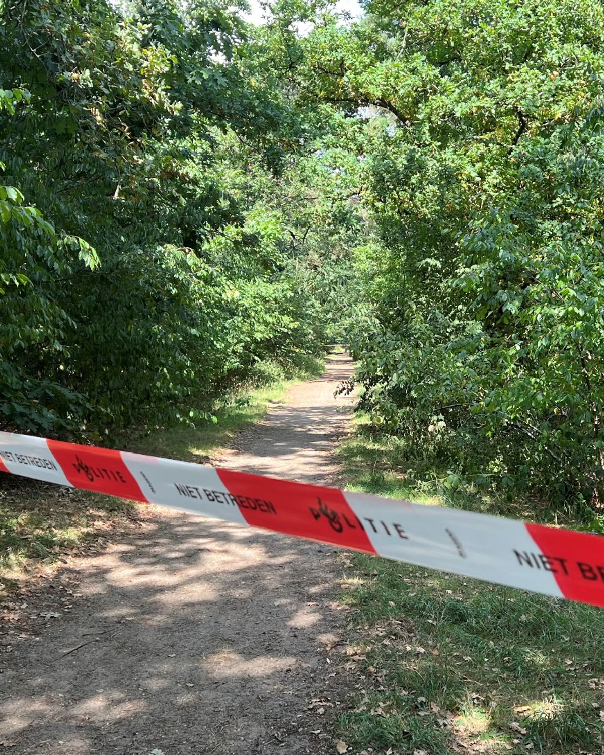 Tientallen tips over zedenmisdrijf Zeist, verdachte nog voortvluchtig - RTV Utrecht