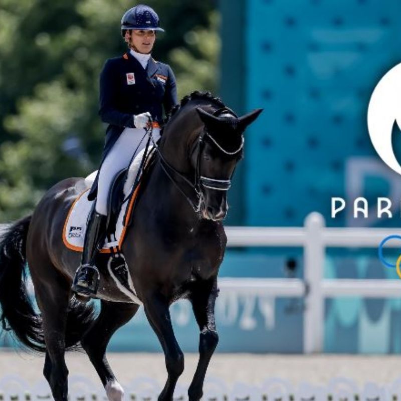 Scholtens stuurt haar paard de finale in - RTV Noord
