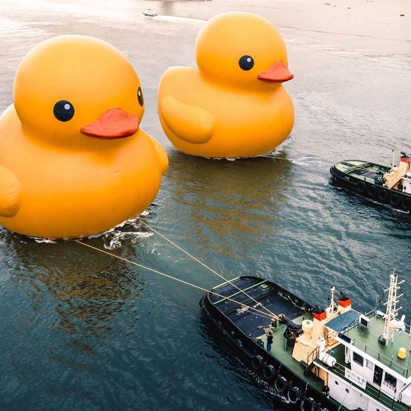 Rubberen eendje keert terug in Hongkong, 'maar niet in zijn eentje ...