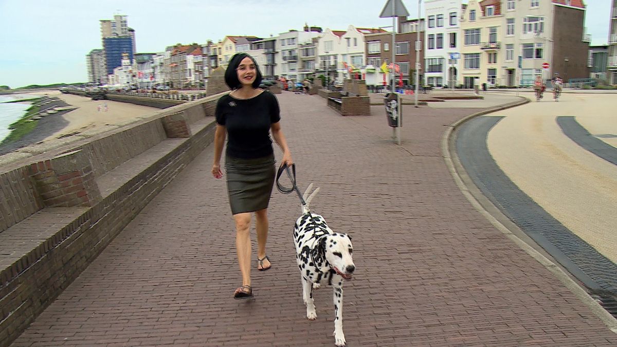 Margreet de Haan: Boeken hebben mij gered - Omroep Zeeland