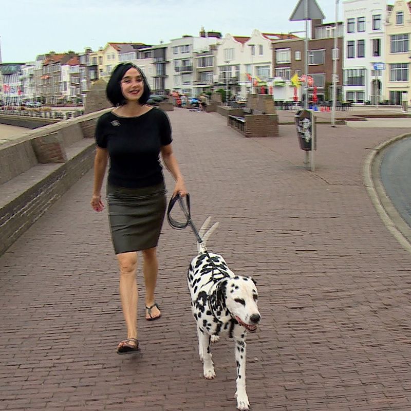 Margreet de Haan: Boeken hebben mij gered - Omroep Zeeland