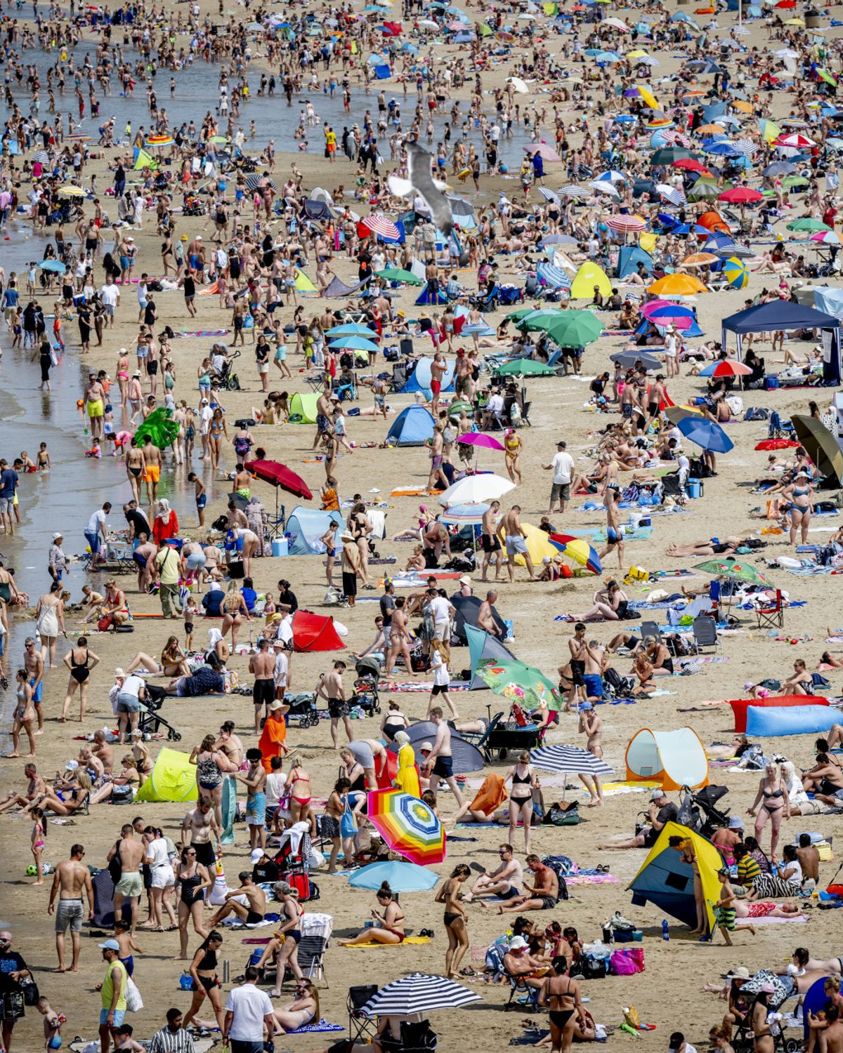 Liveblog | Volle stranden en drukte bij recreatieplassen op ...