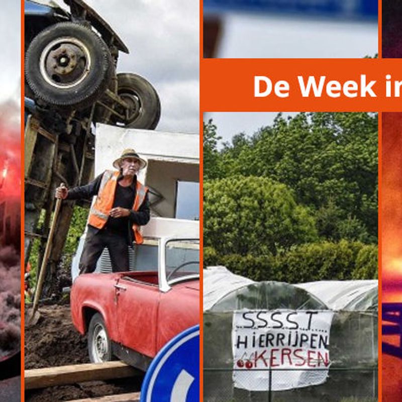 SSSSST... HIER RIJPEN KERSEN! - L1 Nieuws