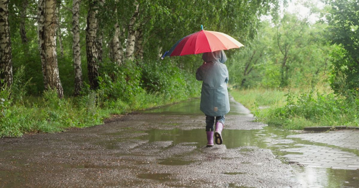 Alweer code geel voor onweer: 'Eigenlijk kun je alles verwachten in ...