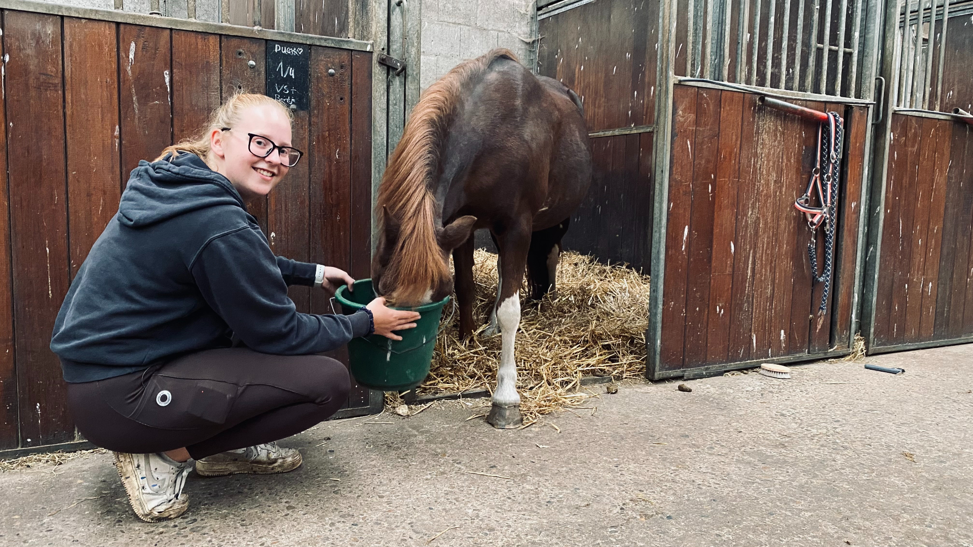 Paardenmeisje Annika zwaait laatste paarden uit: enige manege in ...
