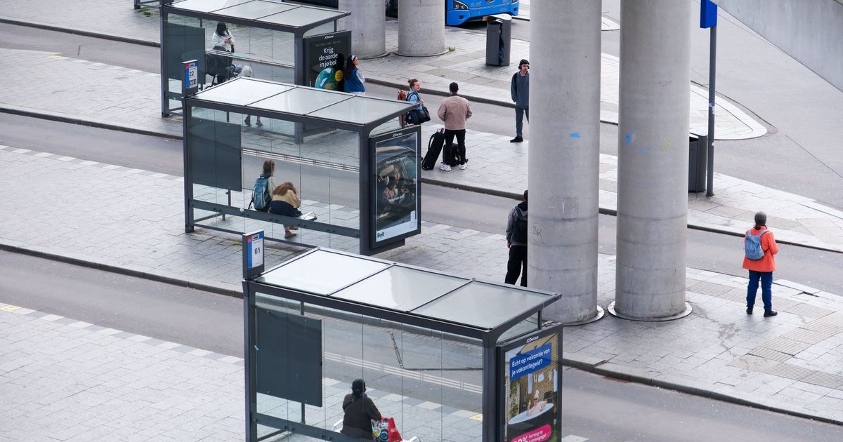 Arnhem gaat richting reclameverbod op vlees, vis en vliegen in ...