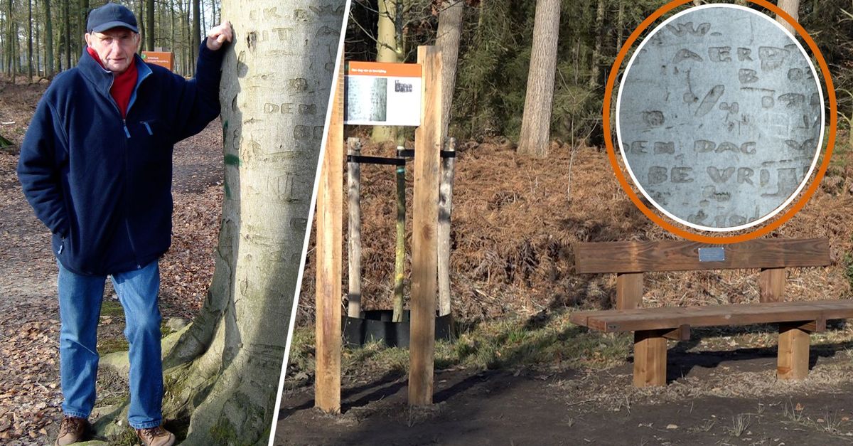 Familie houdt herinnering aan boom met oorlogsinscriptie levend ...