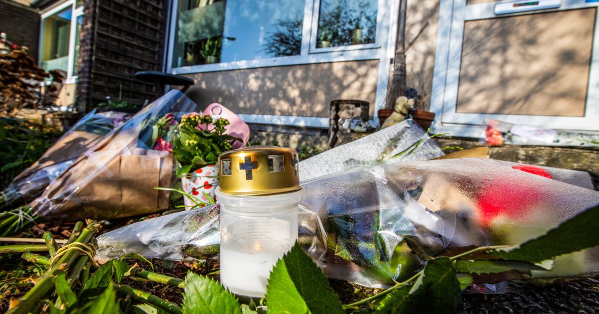 27 jaar cel en tbs voor man die moord op ex-vriendin op Facebook bekende - Omroep West