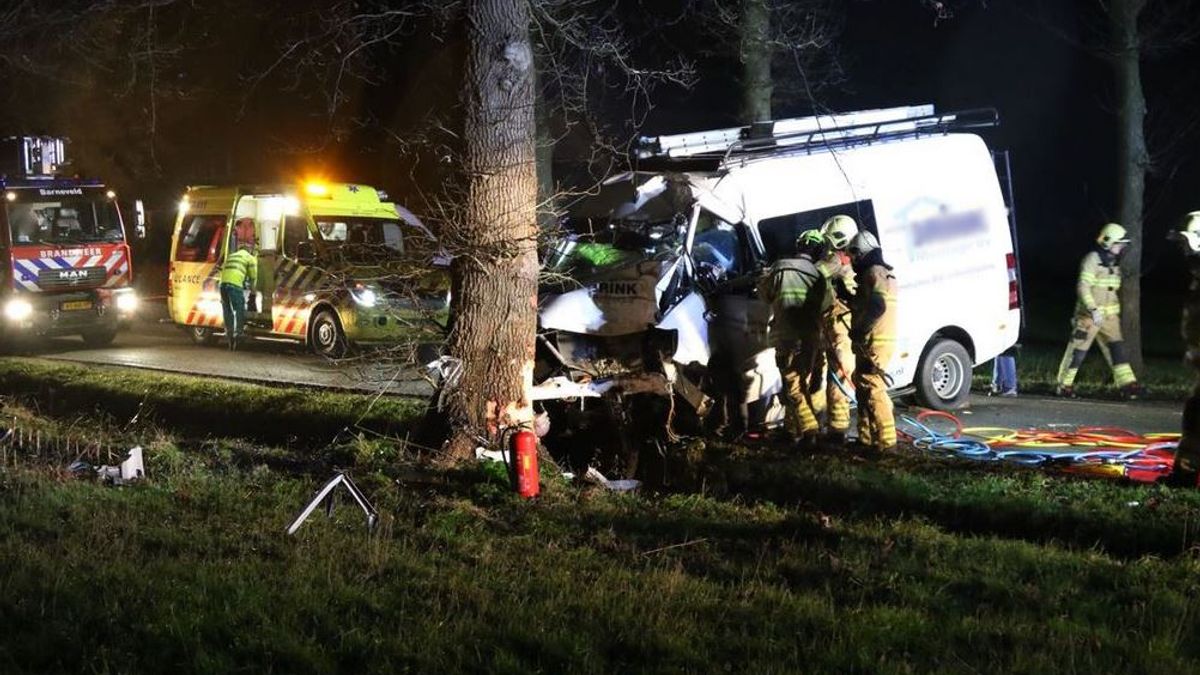 Man botst met bestelbus frontaal op boom - Omroep Gelderland