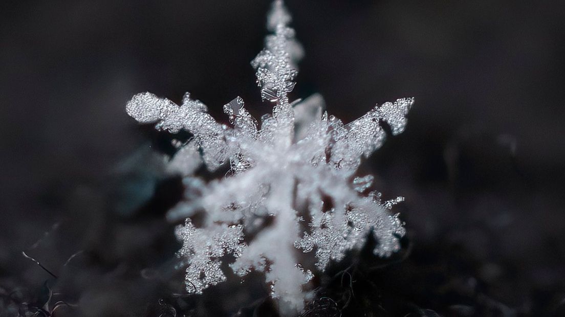 Zo ontstaan ijshaar en sneeuwvlokjes - Omroep Gelderland