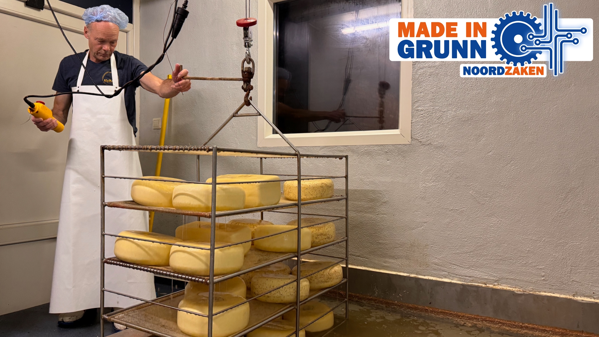 Vleermuizenhotel in de Eemshaven trekt bijzondere gasten - RTV Noord