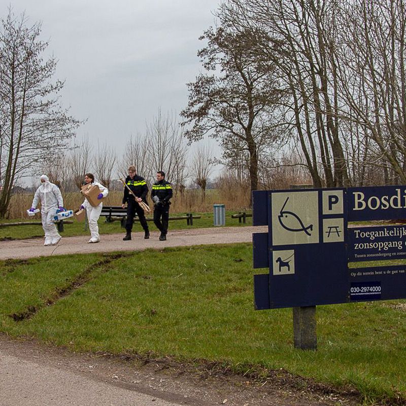 OM: Verdachte zedenmisdrijf Breukelen verkrachtte slachtoffer herhaaldelijk - RTV Utrecht