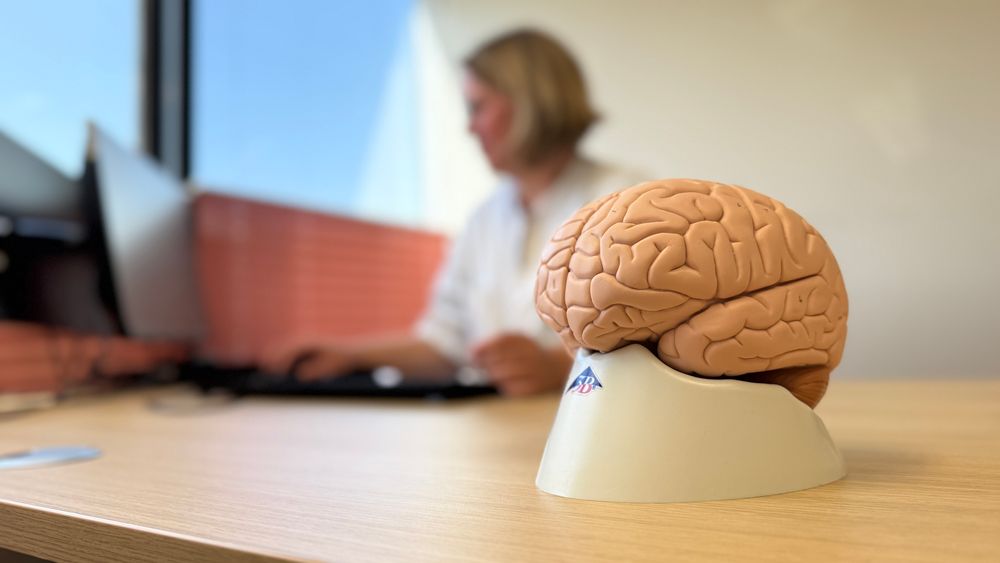 Neurologie-afdelingen in Drenthe kampen met lange wachttijden: 'Vaak te ...