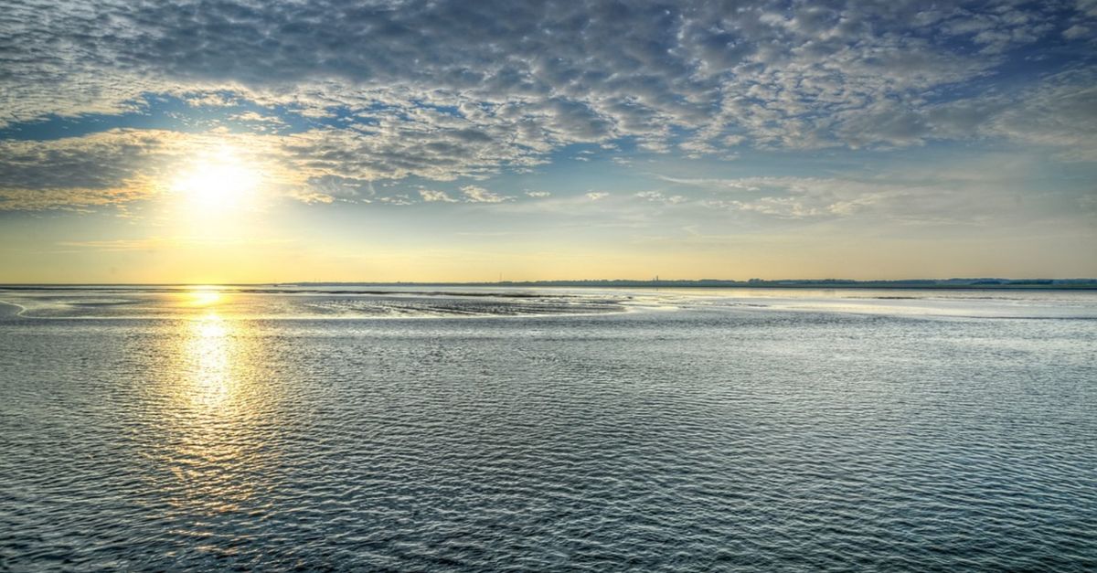 'Werelderfgoedstatus van de Waddenzee is belangrijker dan één ...