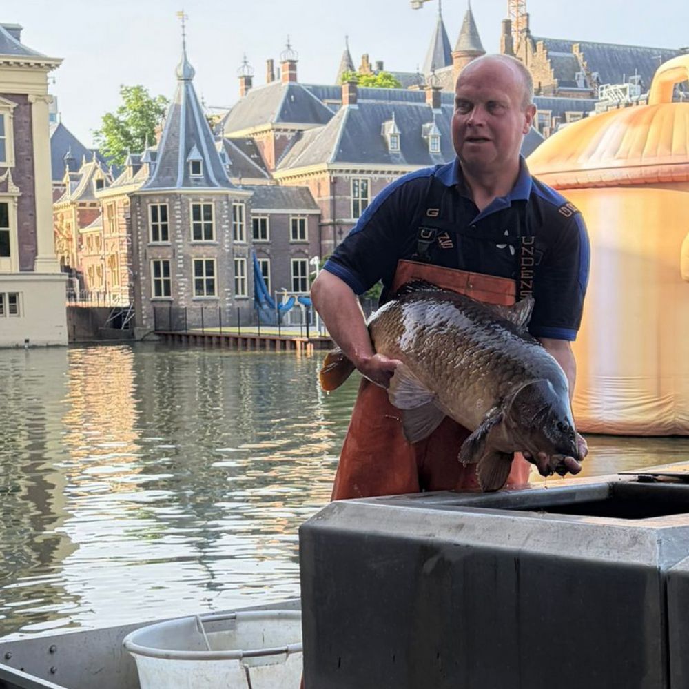 Vissen uit Hofvijver verhuizen om beter te ademen - Den Haag FM