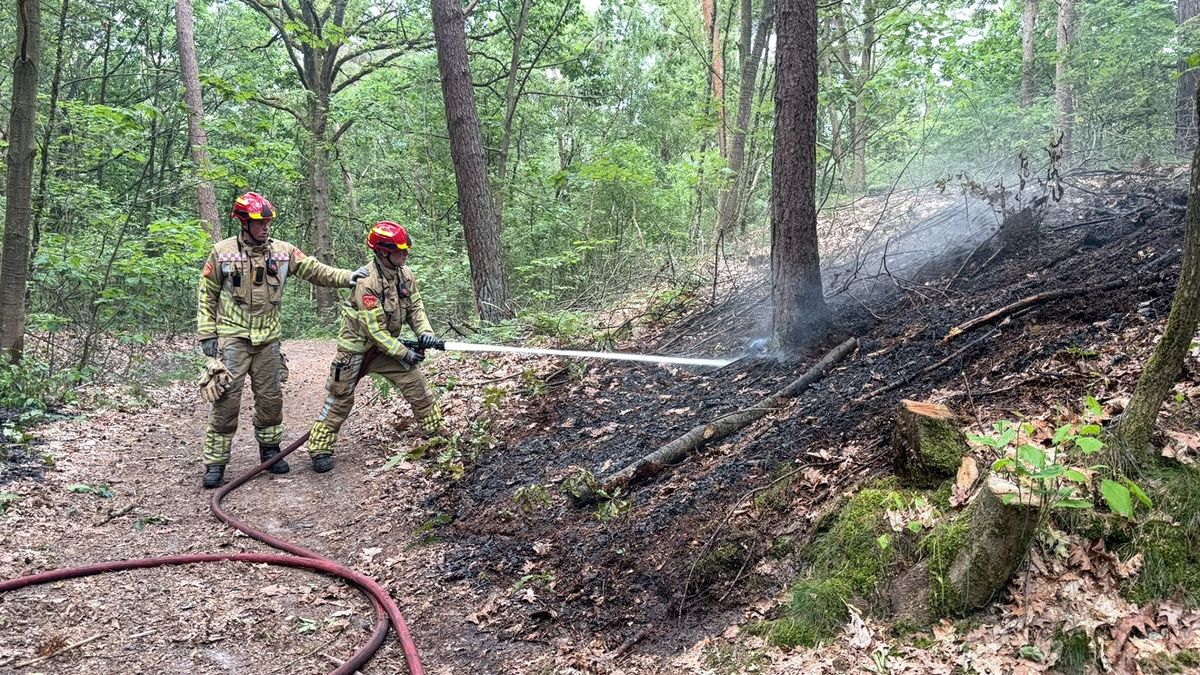 Meerdere brandhaarden langs N277 bij Kessel: natuurbrand in bosgebied ...