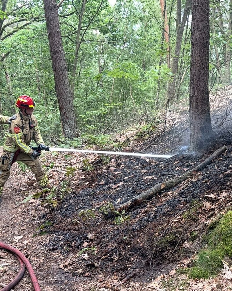 Meerdere brandhaarden langs N277 bij Kessel: natuurbrand in bosgebied ...