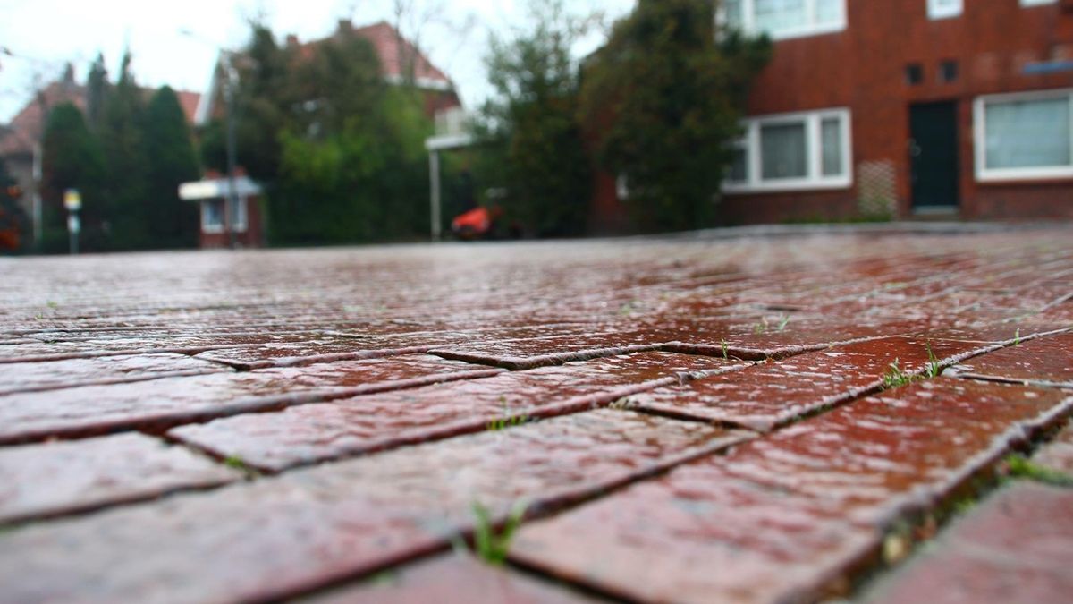 Waarom is ijzel zo moeilijk te bestrijden? - RTV Noord