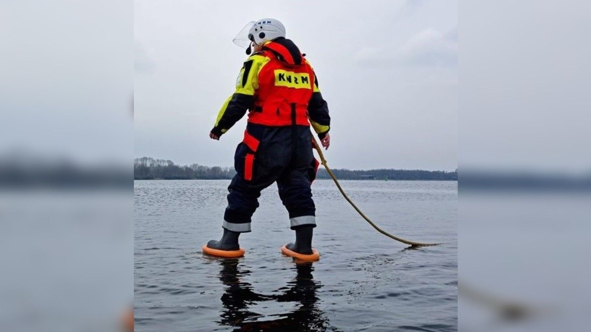 Zo werd Zeeland in de maling genomen: van eekhoorns tot luizenplaag ...