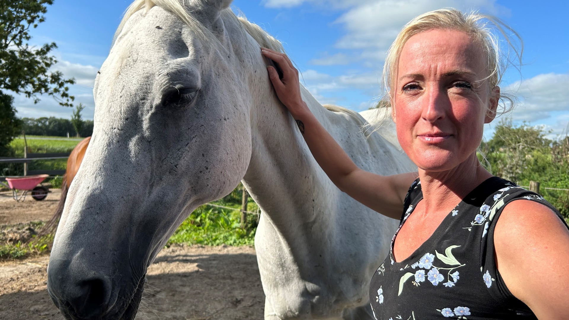 Dwangsom voorlopig van tafel: zware periode opvang Raerd voorbij ...