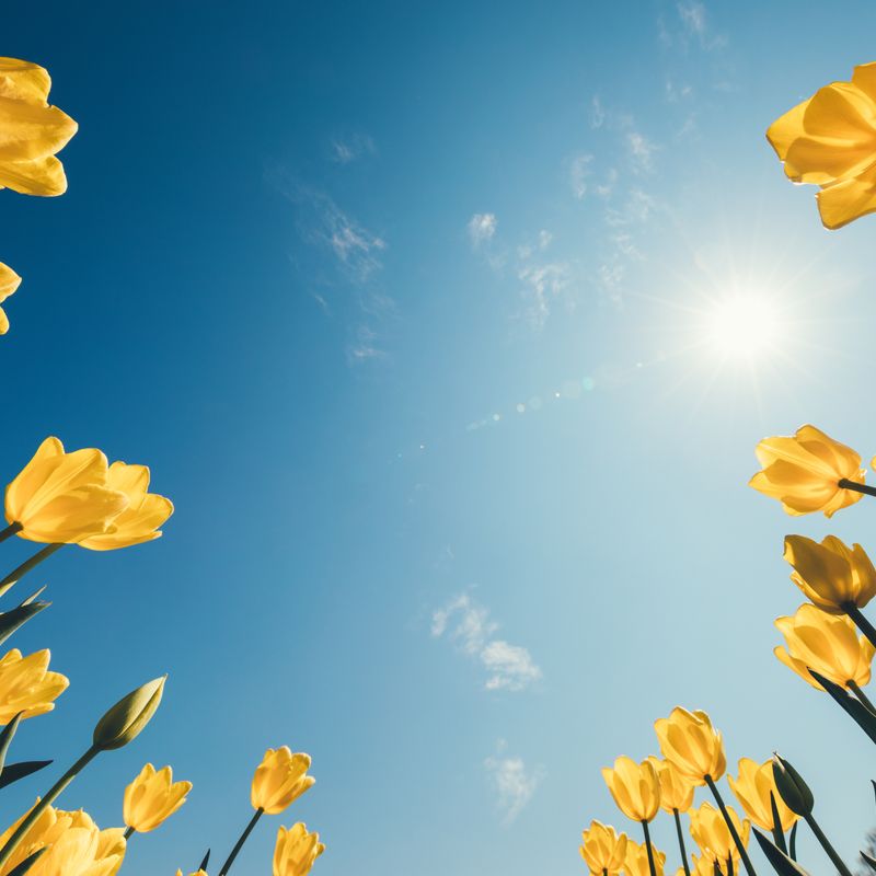 Eindelijk lekker weer op komst: temperaturen tot 25 graden - L1 Nieuws