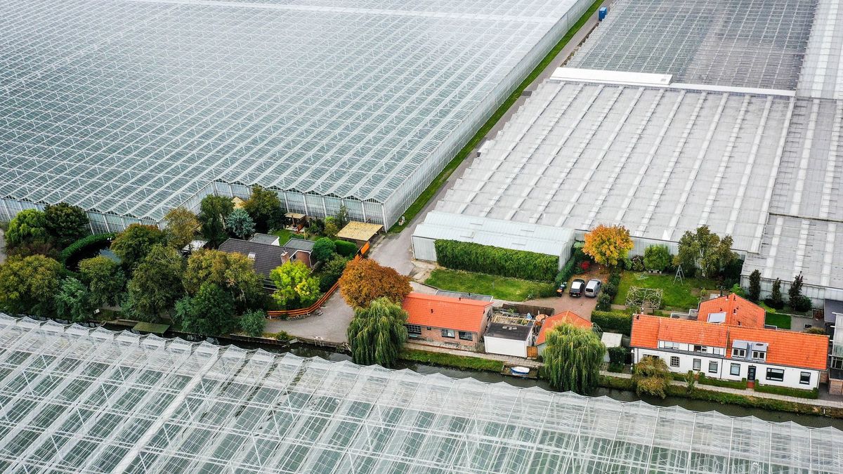 Meer betalingsproblemen bij glastuinbouwers: acht procent denkt dit ...