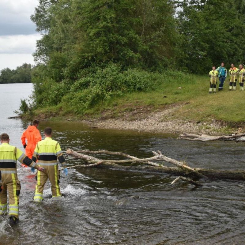 Fietser gewond • val uit boom - Omroep Gelderland