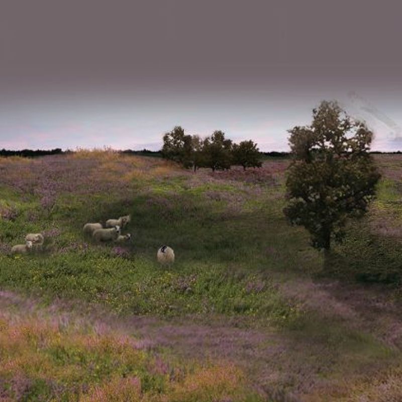 Historie zichtbaar op Balloërveld - RTV Drenthe