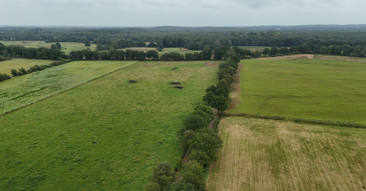 Landbouwgrond wordt natuurgebied bij Zeegse: 2000 vrachtwagenritten om ...