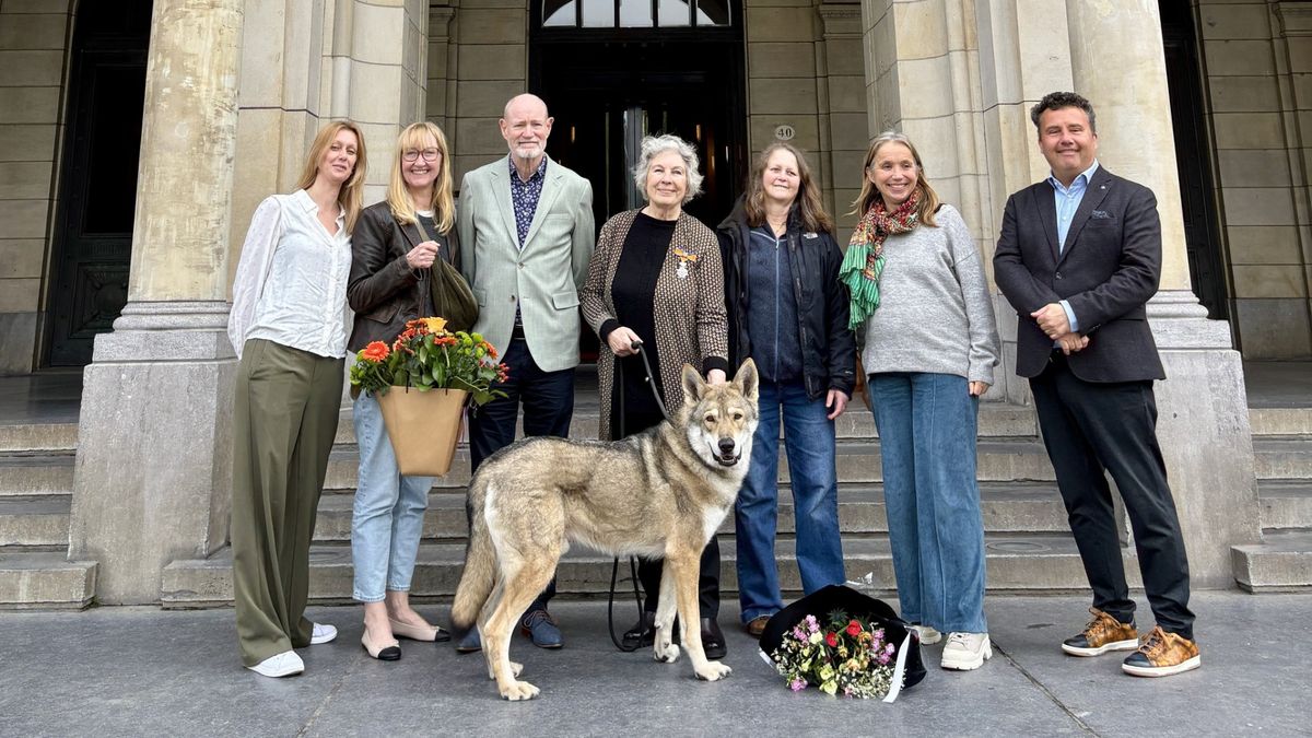 Marianne verrast door nazaat wolf uit Blijdorp bij stadhuis: 'Hij heet ...