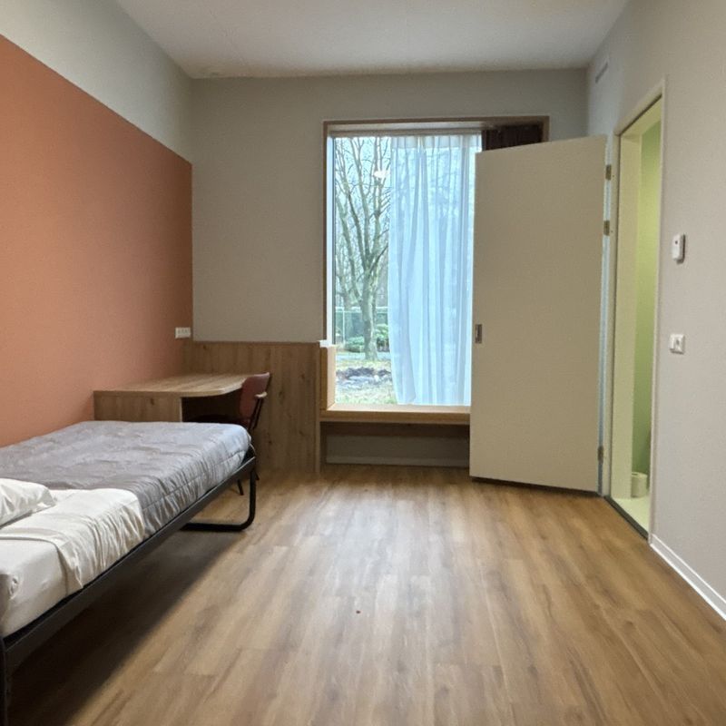 Nieuwe kliniek Acute Zorg Assen: 'Meer privacy moet zorgen voor sneller ...