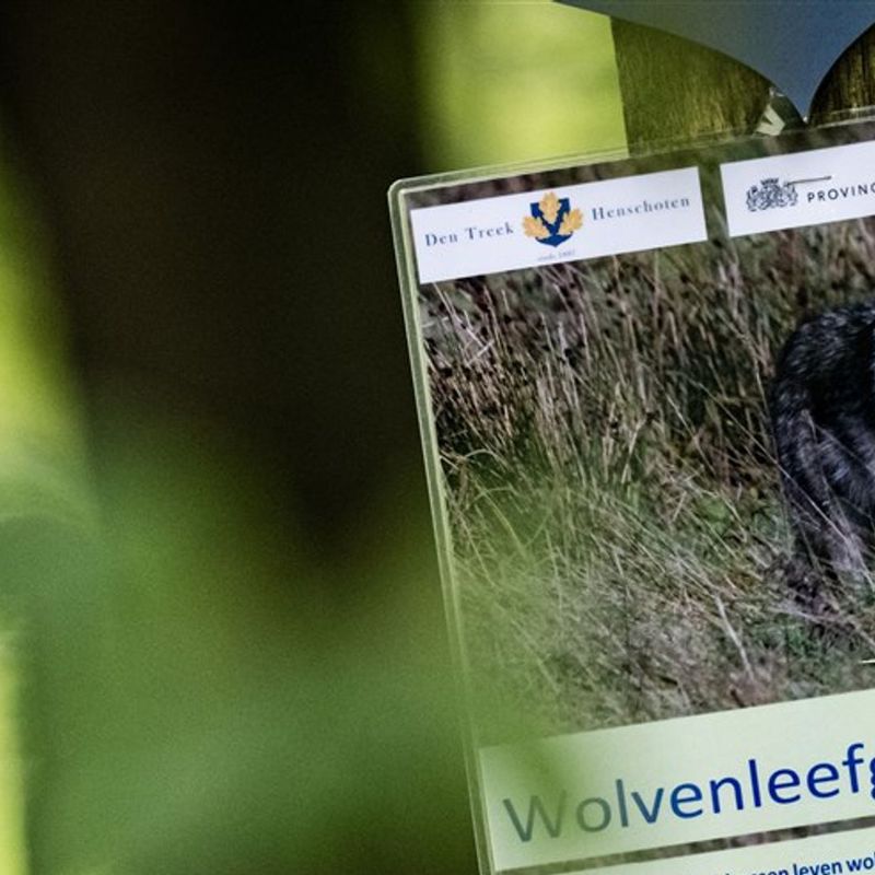 Veel subsidie voor wolfwerende rasters nog niet uitgekeerd, hoe zit dat ...