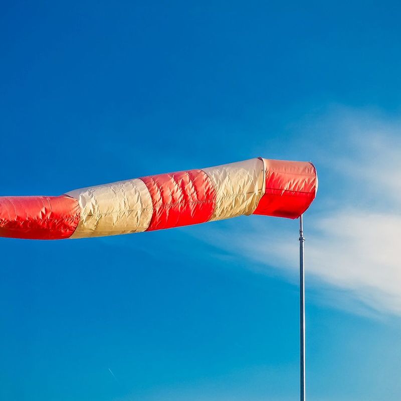 WEERALARM: code rood voor onze regio vanwege storm Eunice - Rijnmond
