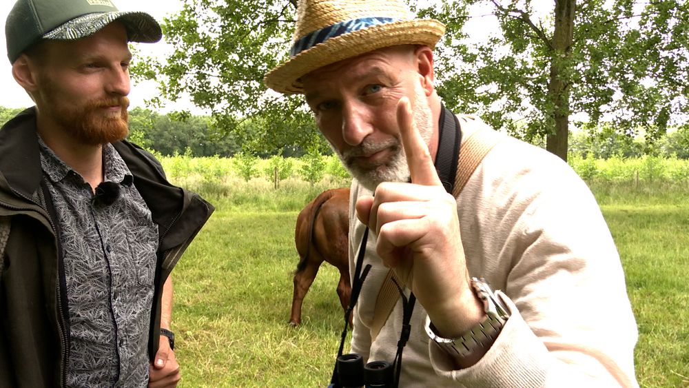 Eddy Zoëy zoekt nieuwe kever: 'vers dood hout liet 'm van Slovenië naar ...
