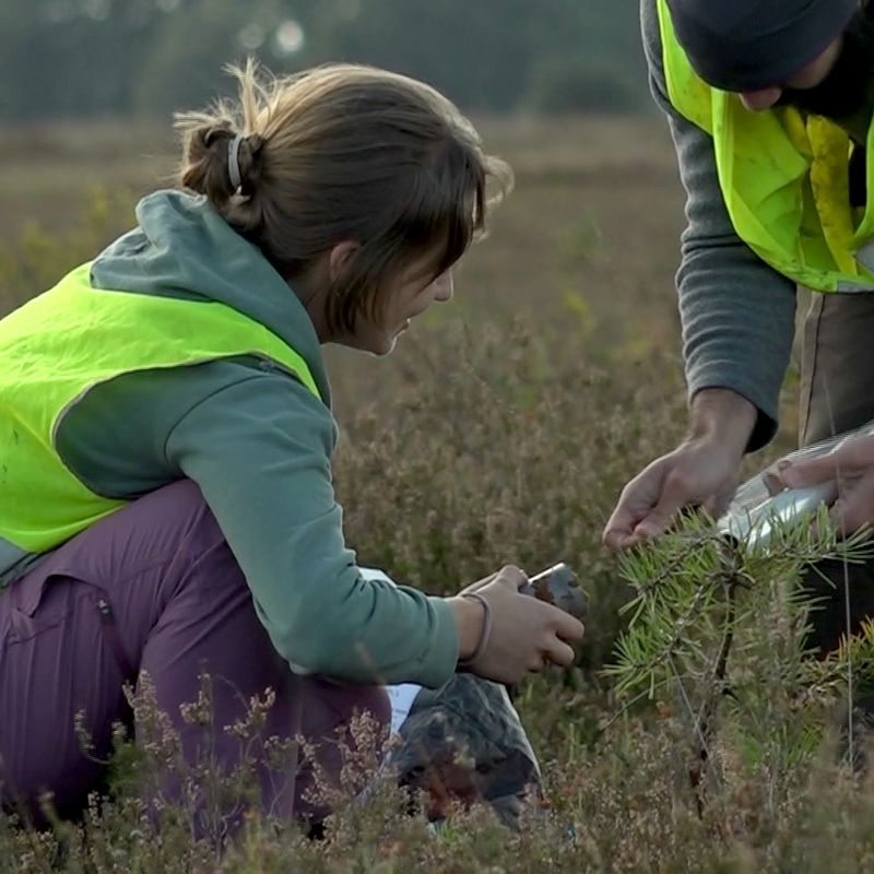 Op zoek naar minuscule beestjes in de bodem van het Dwingelderveld ...