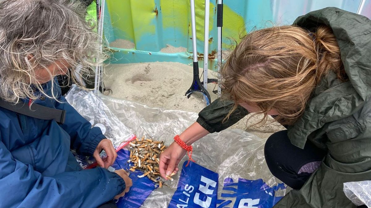 Frustratie om 2.000 peuken die gevonden zijn op Zeeuwse stranden: 'Te ...