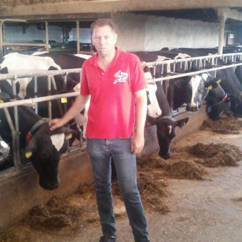 Postcode 4243, Nieuwland - Rijnmond