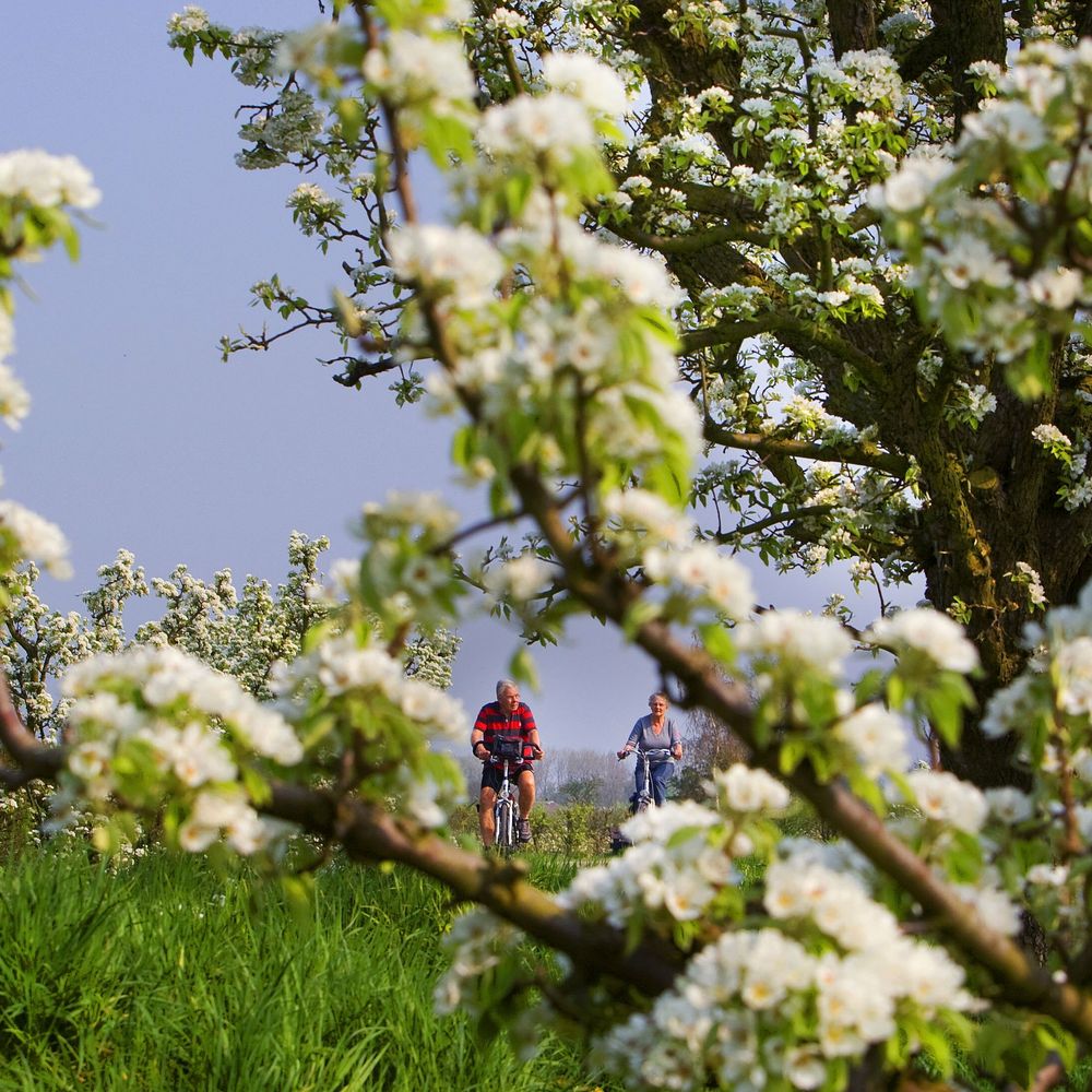 Mooi weekendweer in aantocht: 'Mogelijk 25 graden' - RTV Drenthe