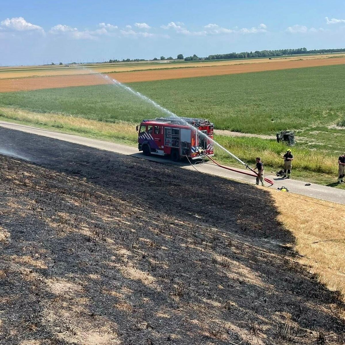 Stuk dijk afgebrand bij Zonnemaire - Omroep Zeeland