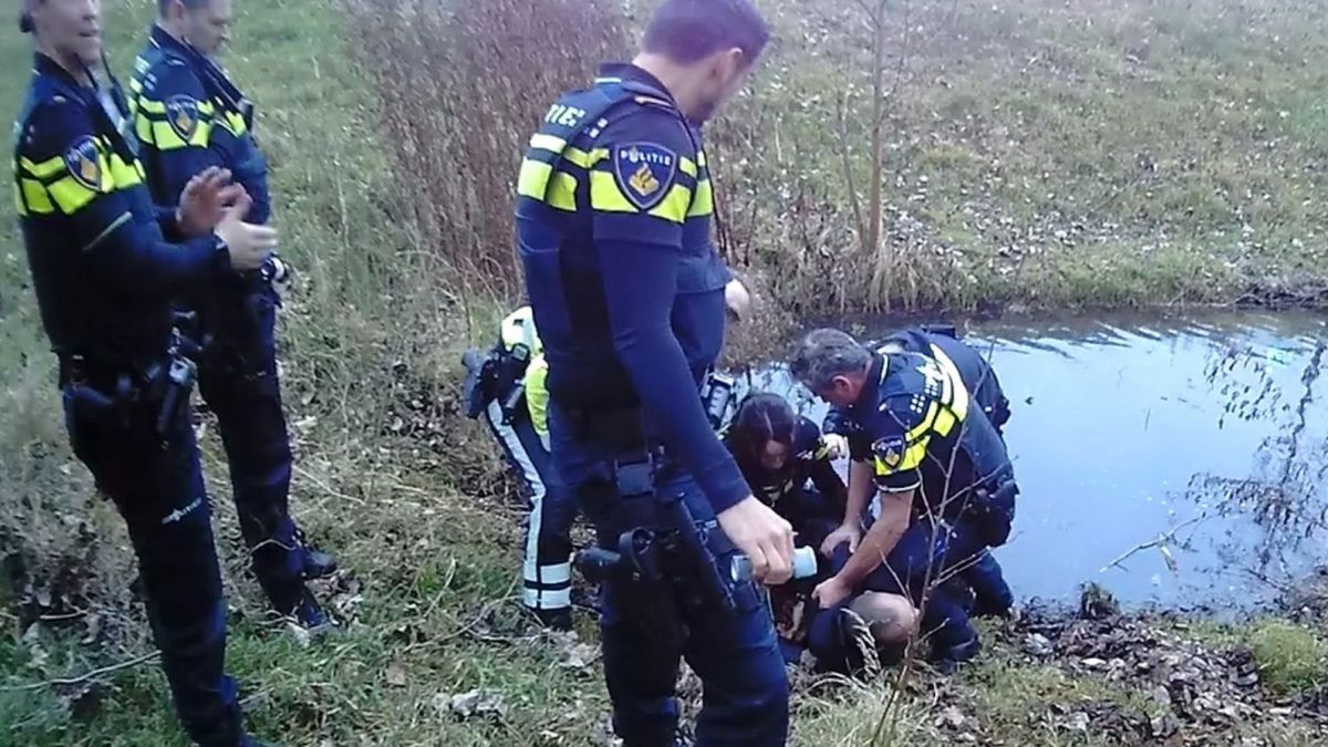 Achtervolging eindigt met nat pak: voortvluchtige en agente belanden ...